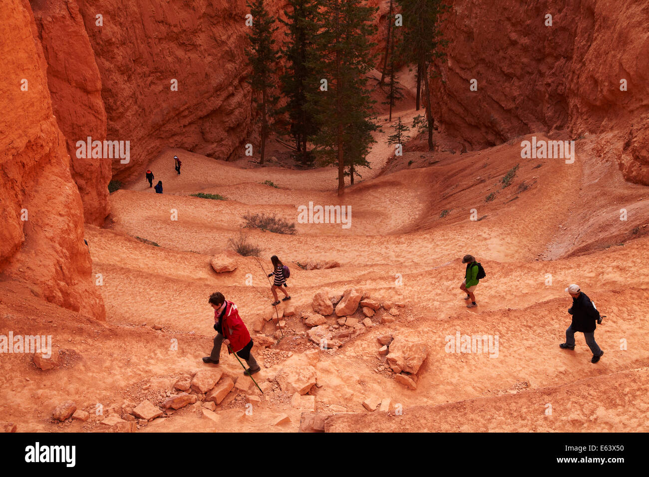 Hikers on zigzag section of Navajo Loop trail, Bryce Canyon National ...