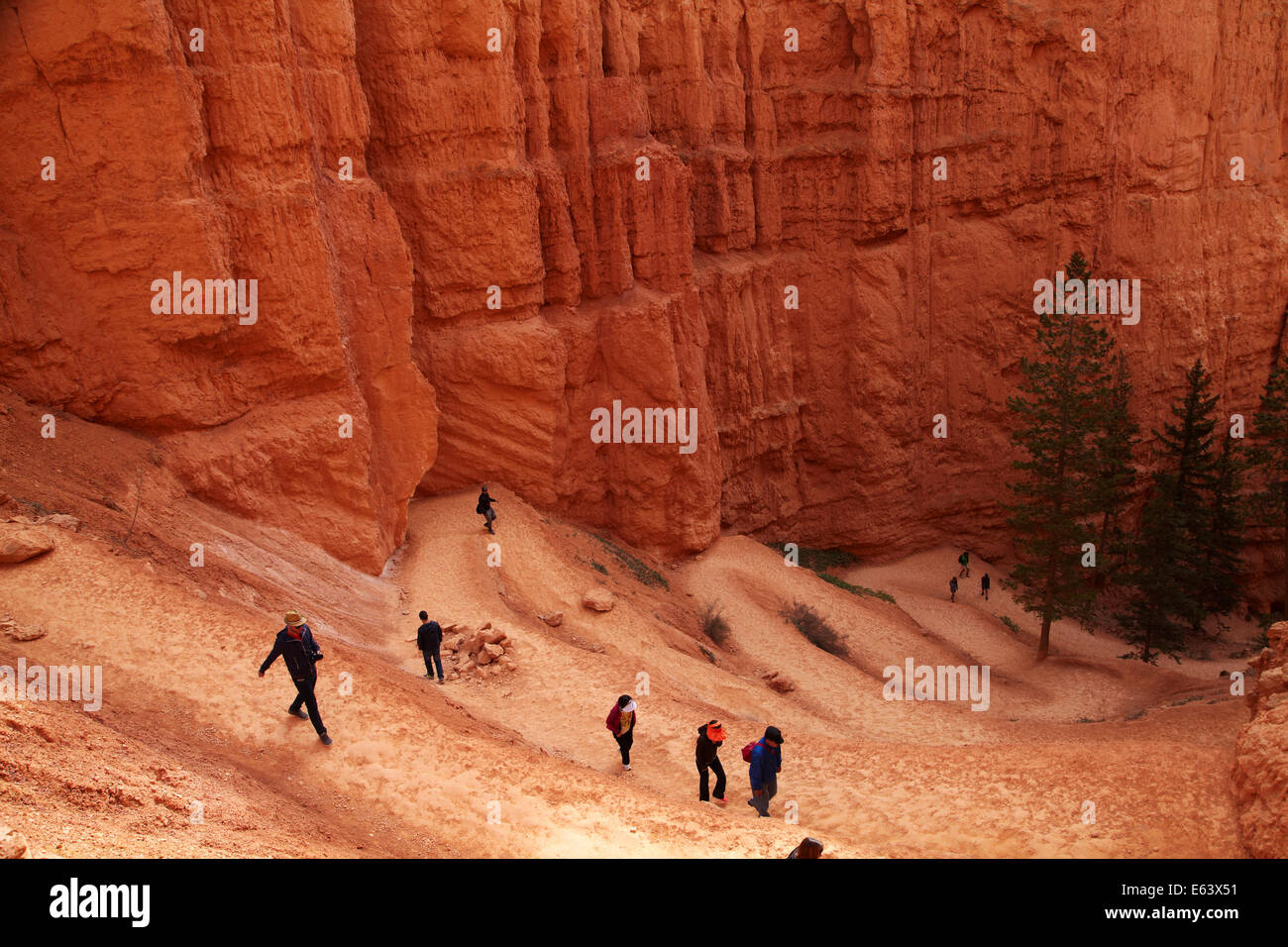 Hikers on zigzag section of Navajo Loop trail, Bryce Canyon National ...