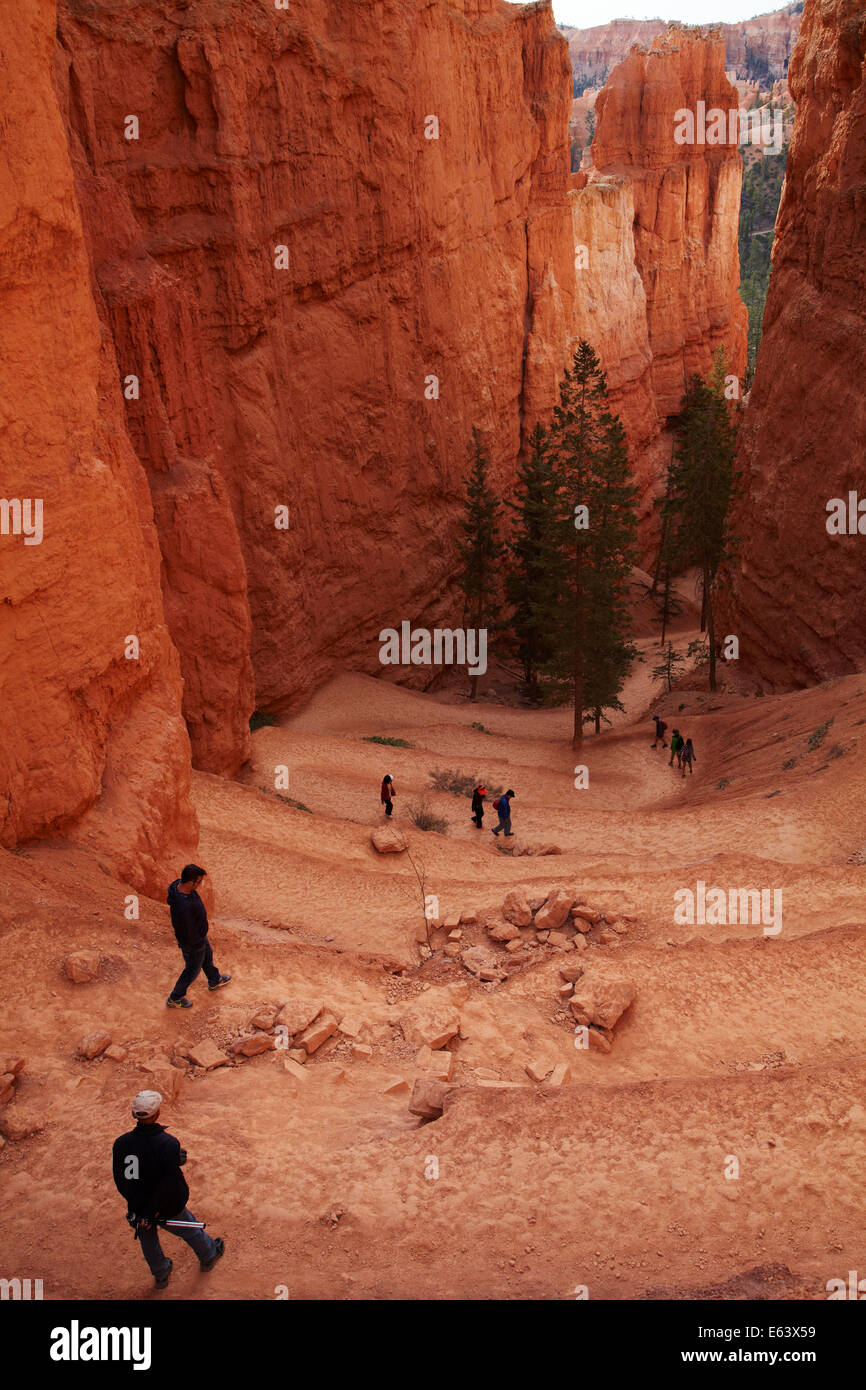 Hikers on zigzag section of Navajo Loop trail, Bryce Canyon National ...