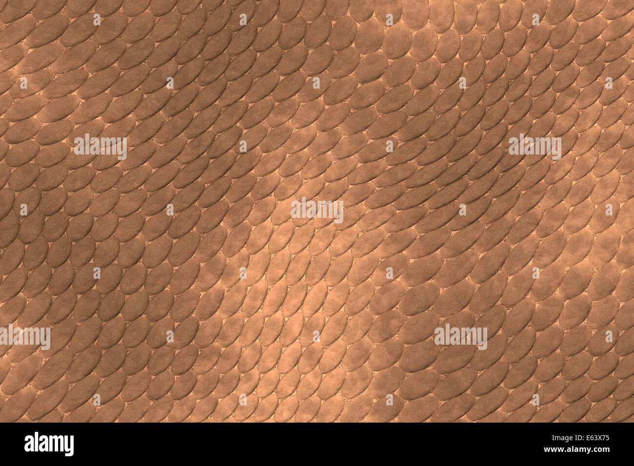 Reptile skin image of a nice skin background Stock Photo - Alamy