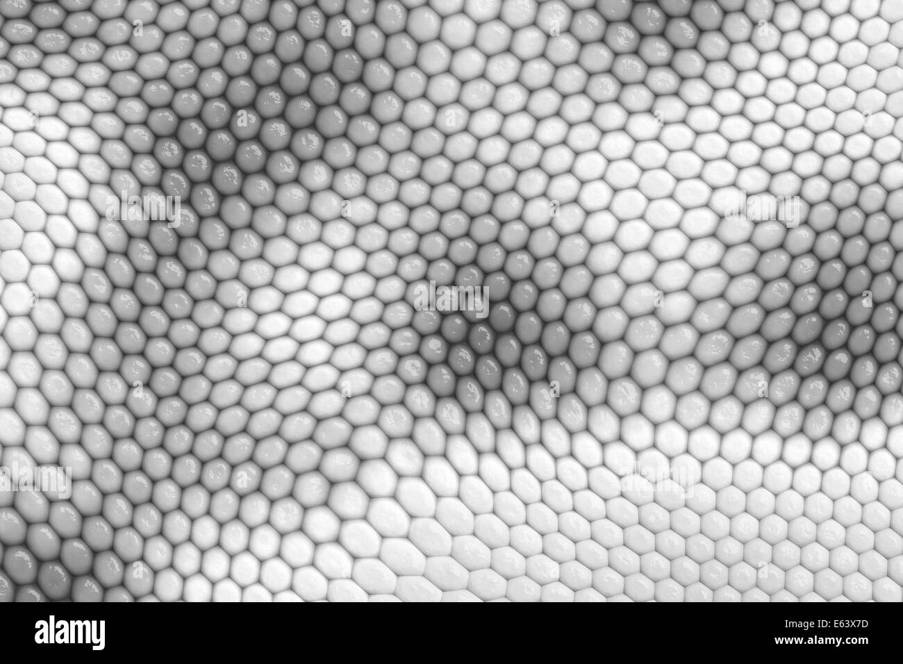 Reptile skin image of a nice skin background Stock Photo - Alamy