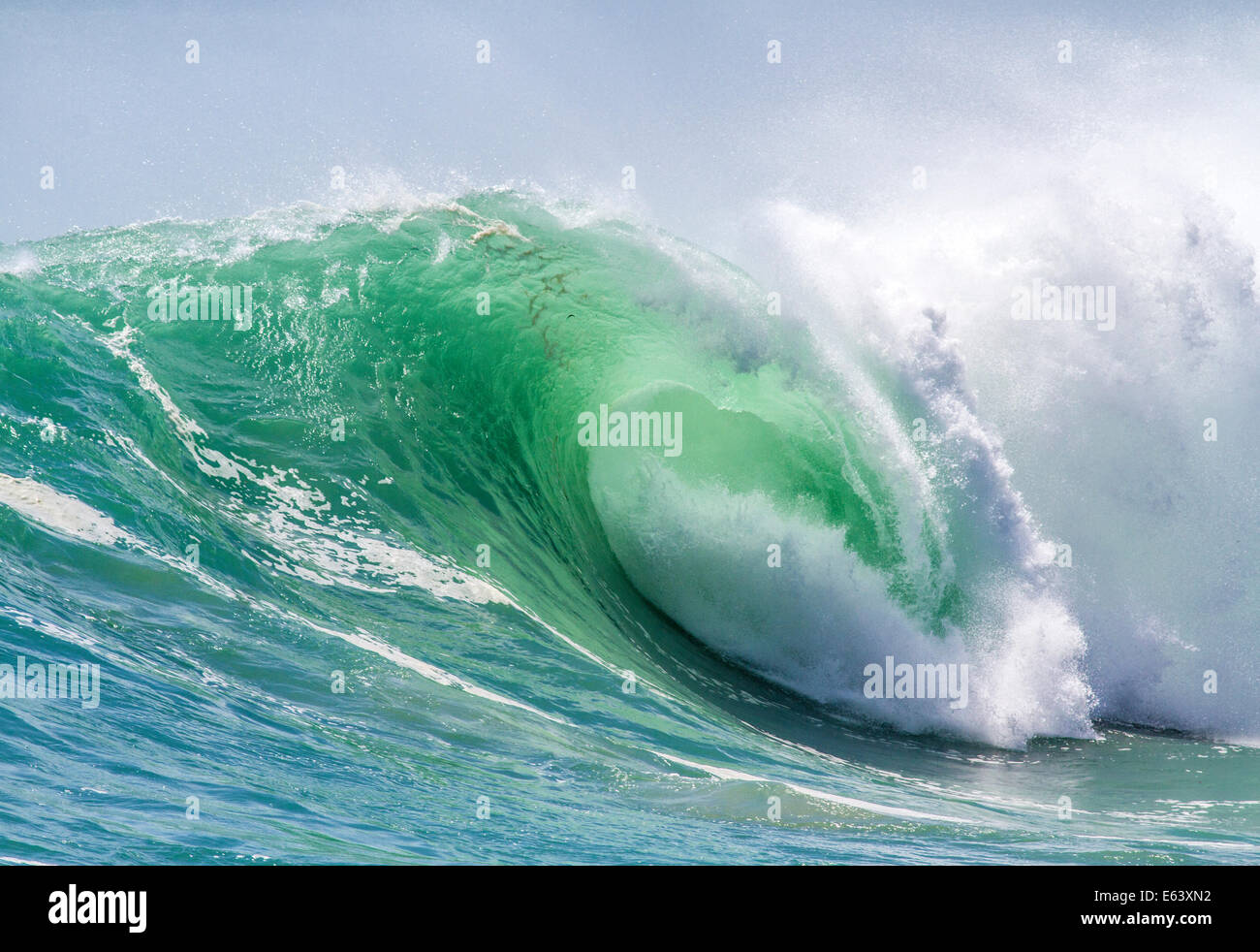 Picture of Perfect Ocean Wave. Indian Ocean Stock Photo - Alamy
