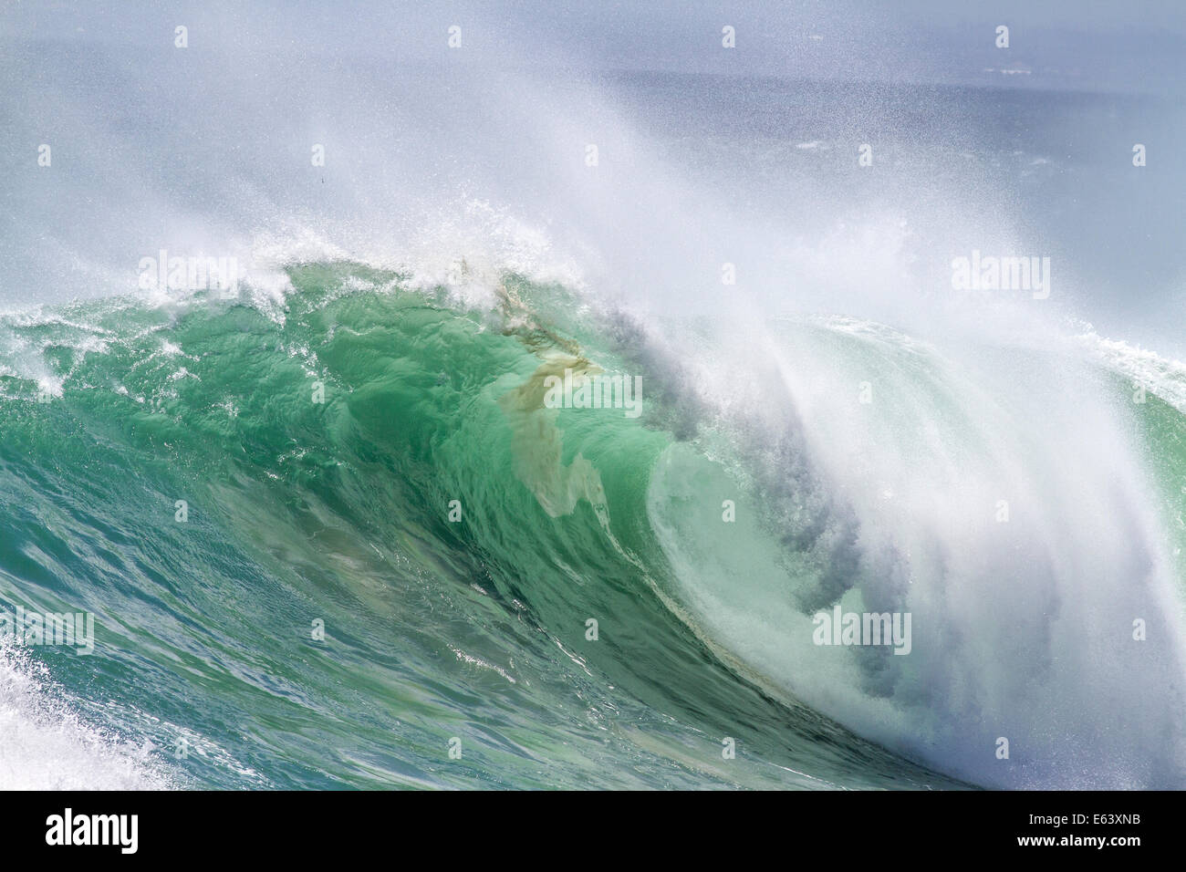 Picture of Perfect Ocean Wave. Indian Ocean Stock Photo - Alamy
