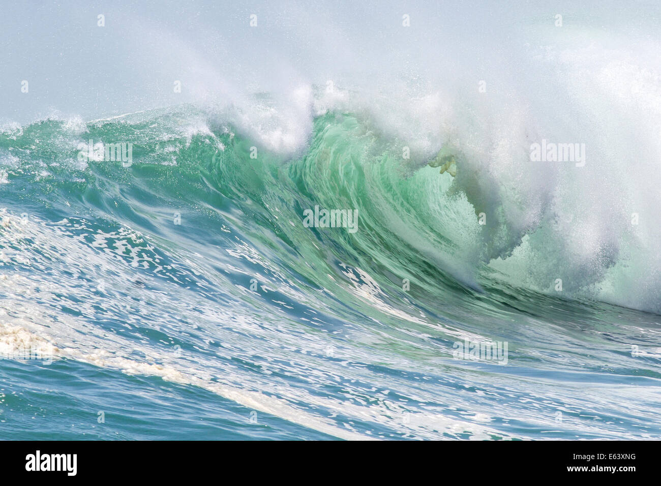 Picture of Perfect Ocean Wave. Indian Ocean Stock Photo - Alamy