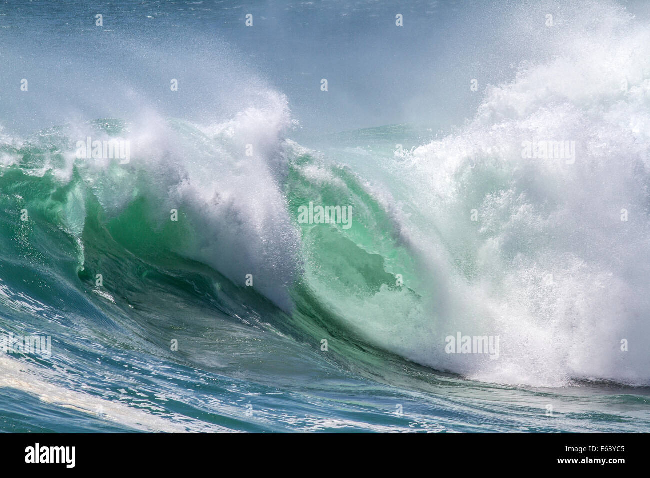 Picture of Perfect Ocean Wave. Indian Ocean Stock Photo - Alamy