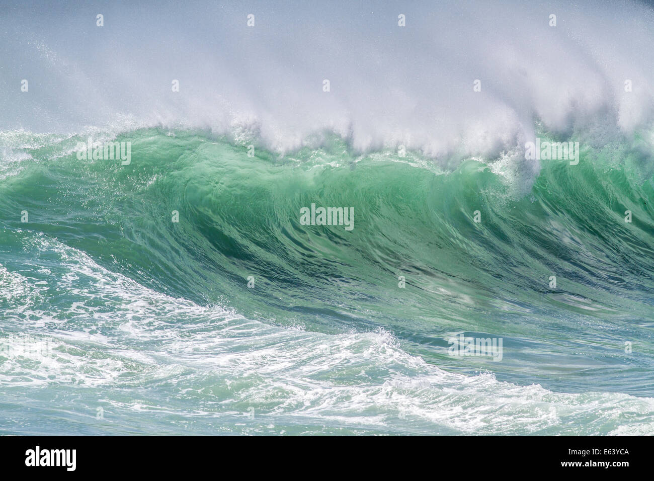 Picture of Perfect Ocean Wave. Indian Ocean Stock Photo - Alamy