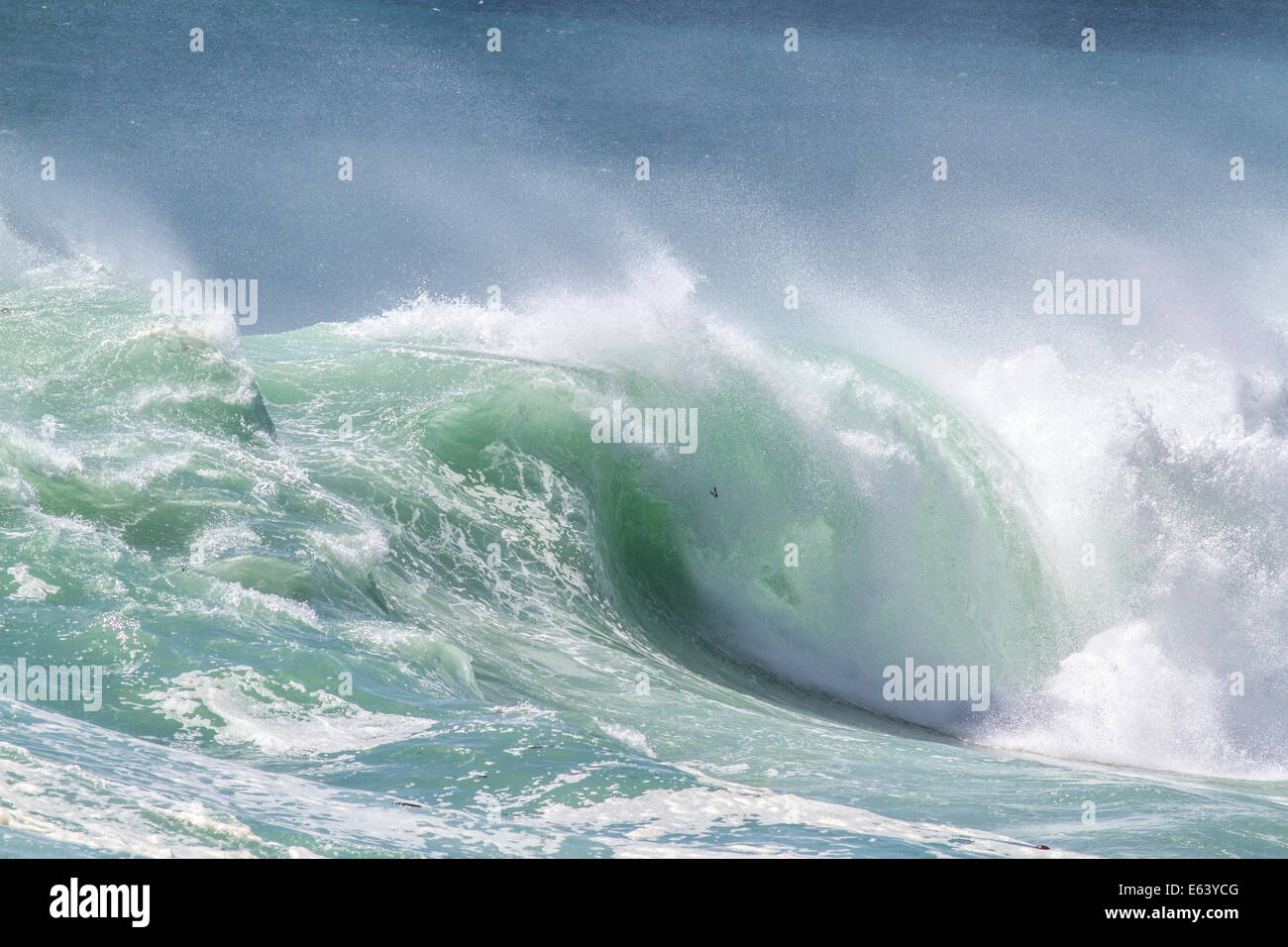 Picture of Perfect Ocean Wave. Indian Ocean Stock Photo - Alamy