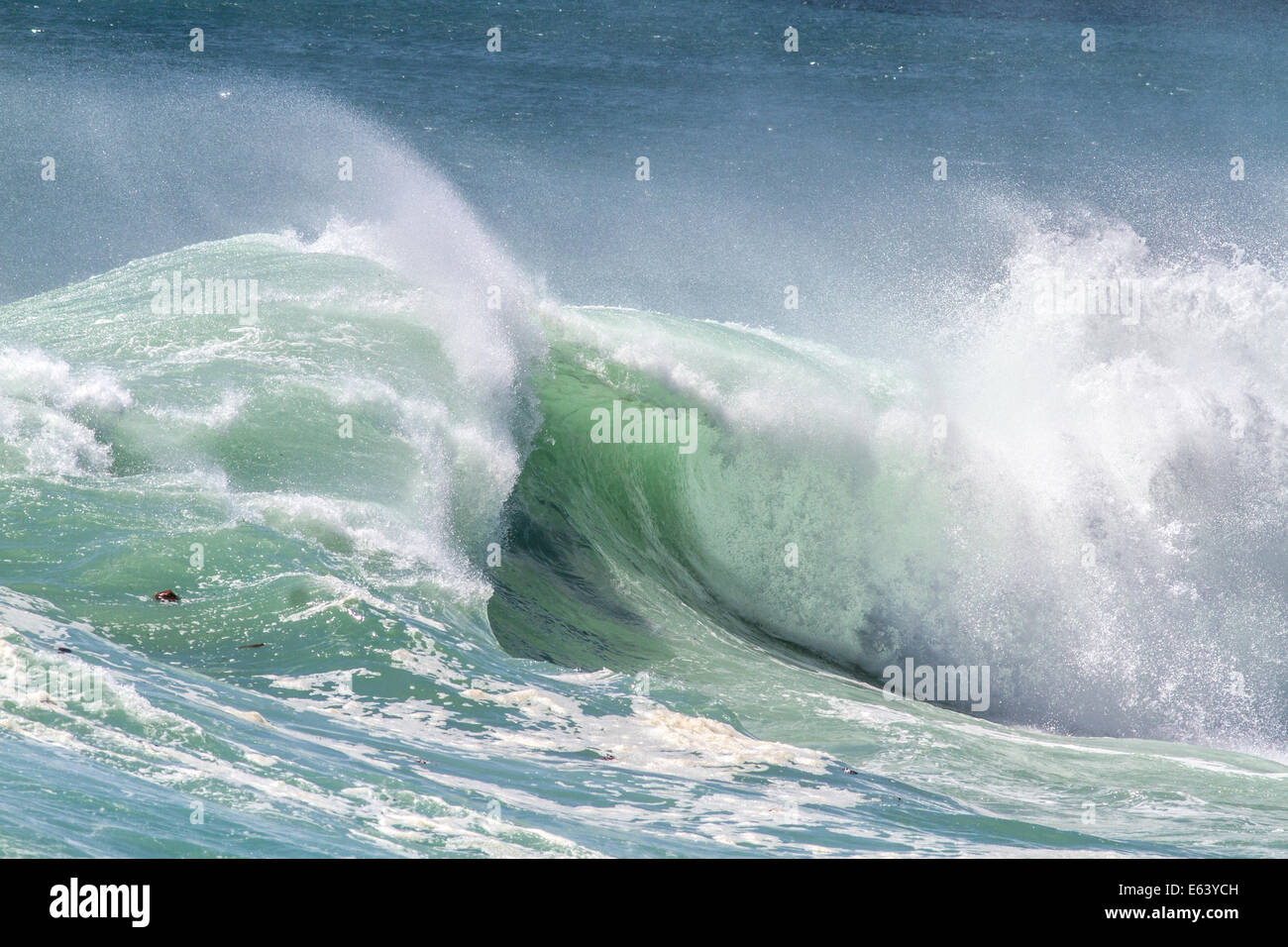 Picture of Perfect Ocean Wave. Indian Ocean Stock Photo - Alamy