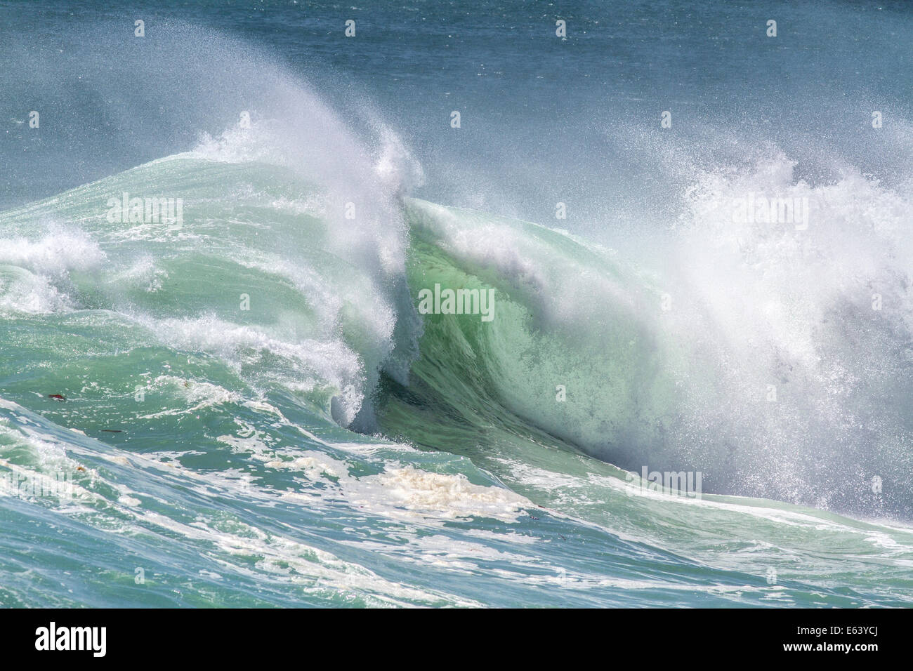 Picture of Perfect Ocean Wave. Indian Ocean Stock Photo - Alamy