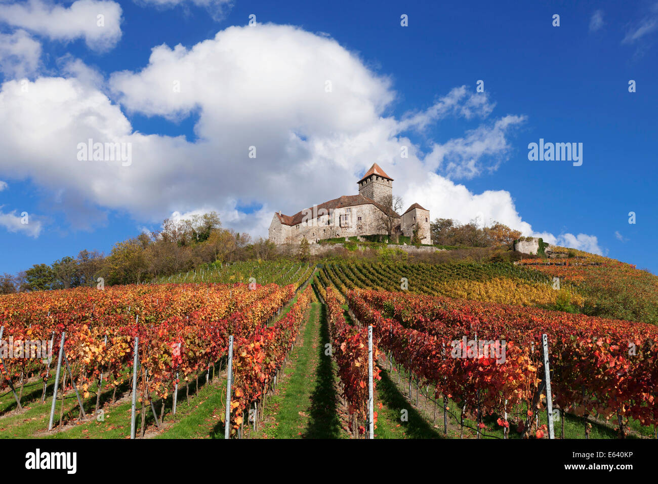 Oberstenfeld High Resolution Stock Photography and Images - Alamy