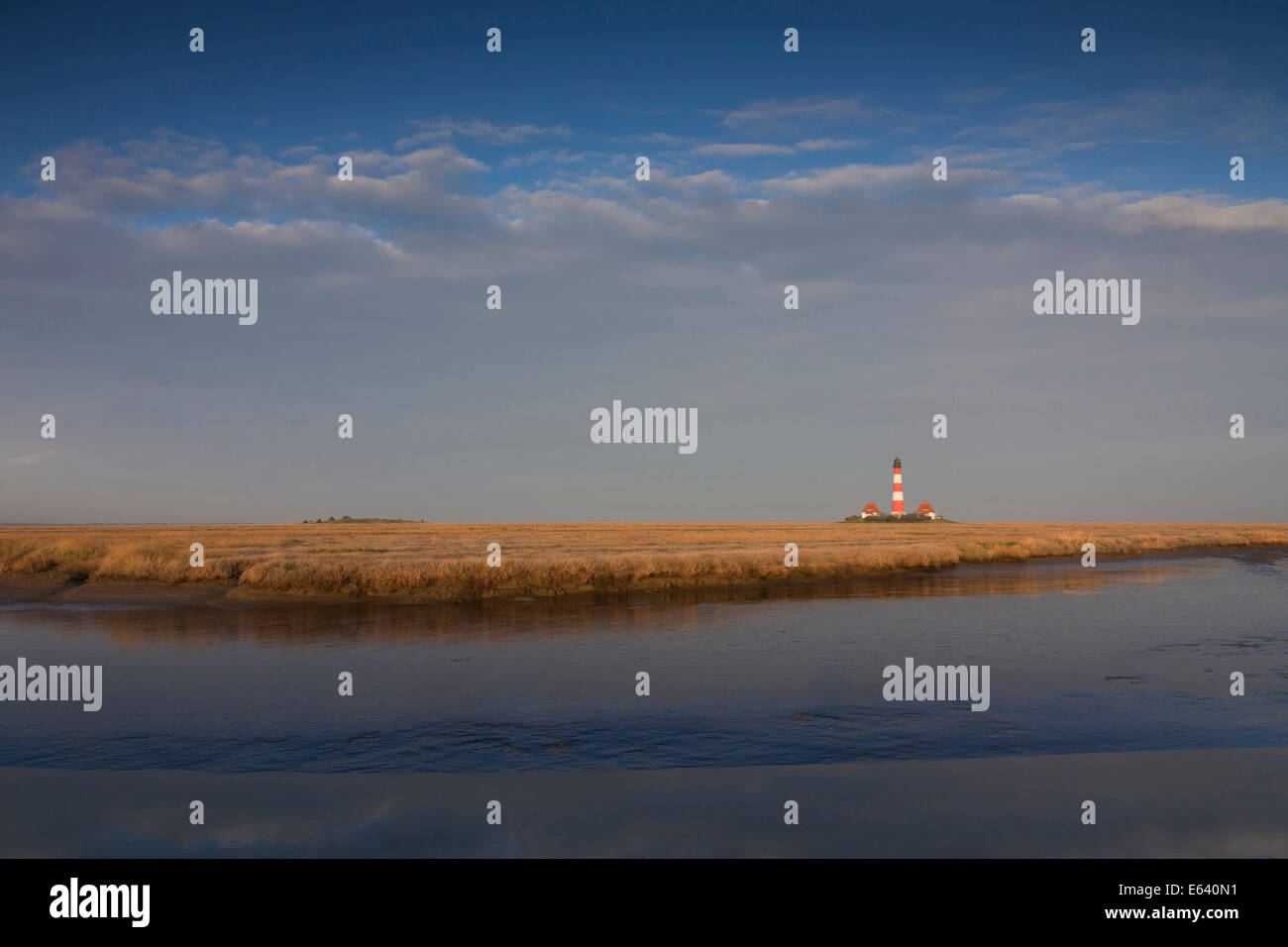 The lighthouse Westerheversand in salt marshes. Peninsula of Eiderstedt ...