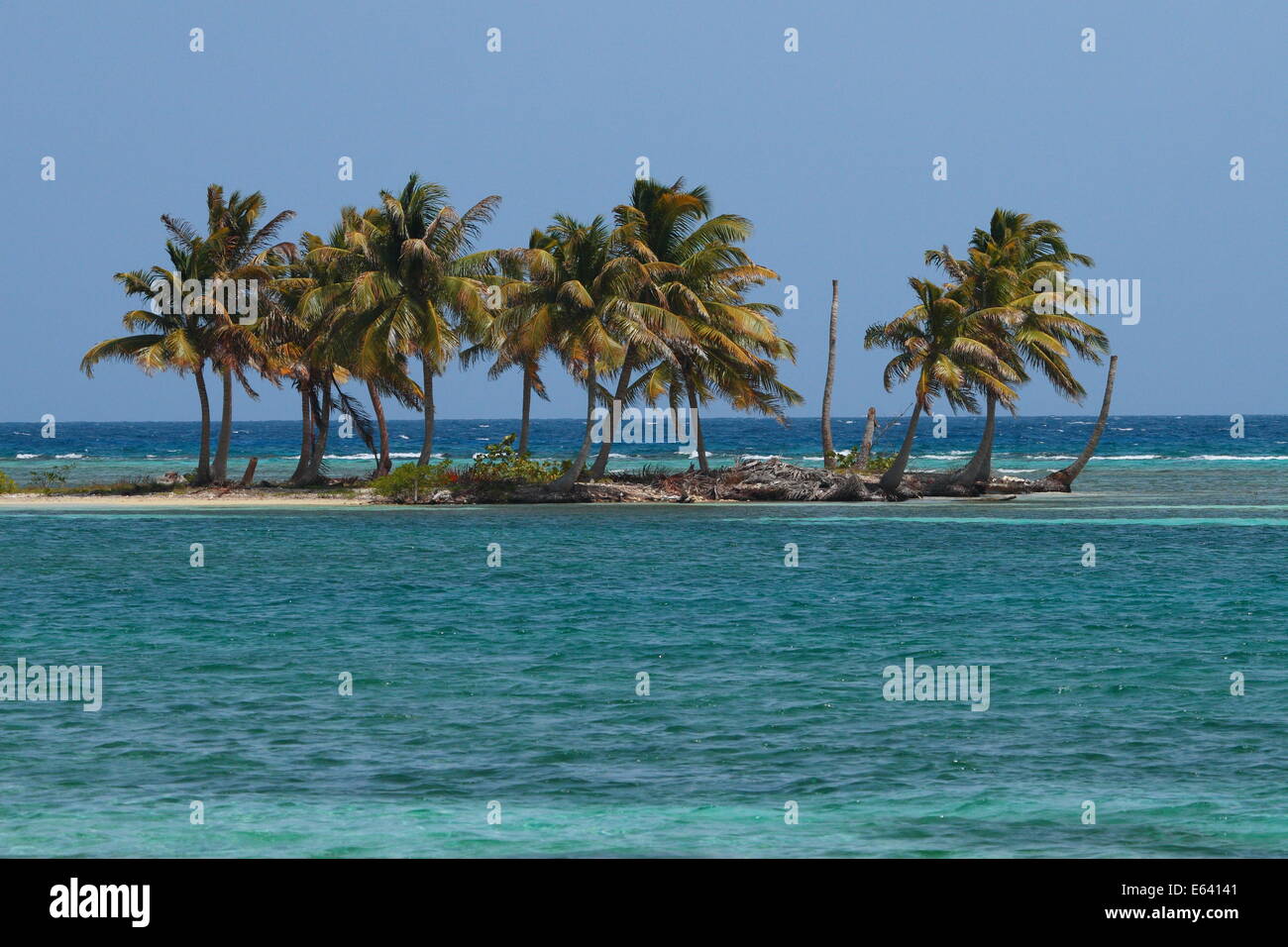 Little Calabash Caye as viewed from Calabash Caye, Belize Stock Photo ...