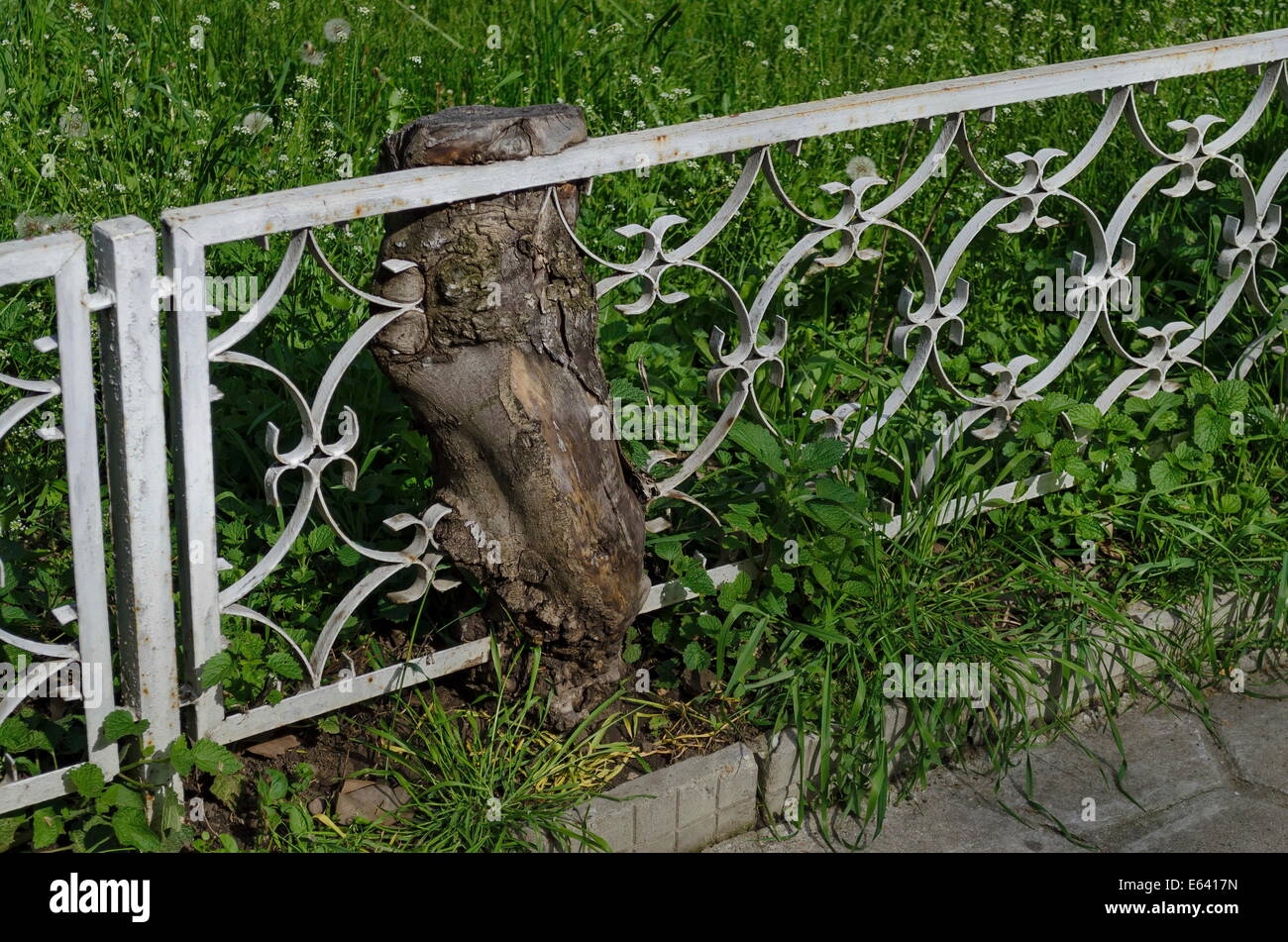 Tree trunk fence hi-res stock photography and images - Alamy