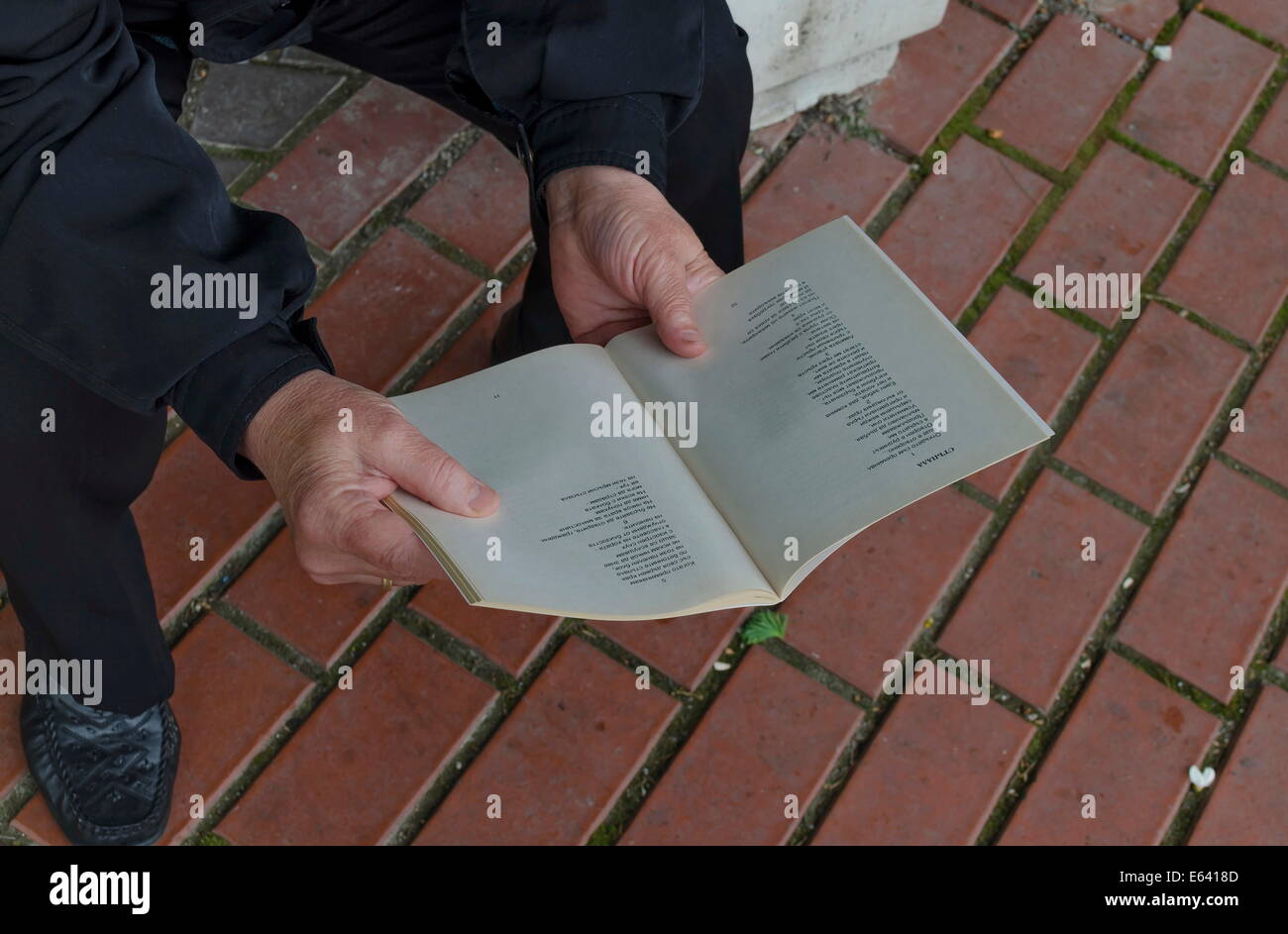 Woman read poetry in garden Stock Photo - Alamy
