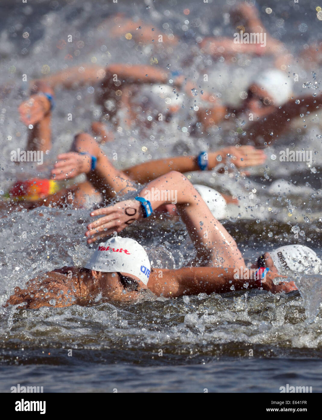 Berlin, Germany. 14th Aug, 2014. The swimmers of the men's 10km Open ...