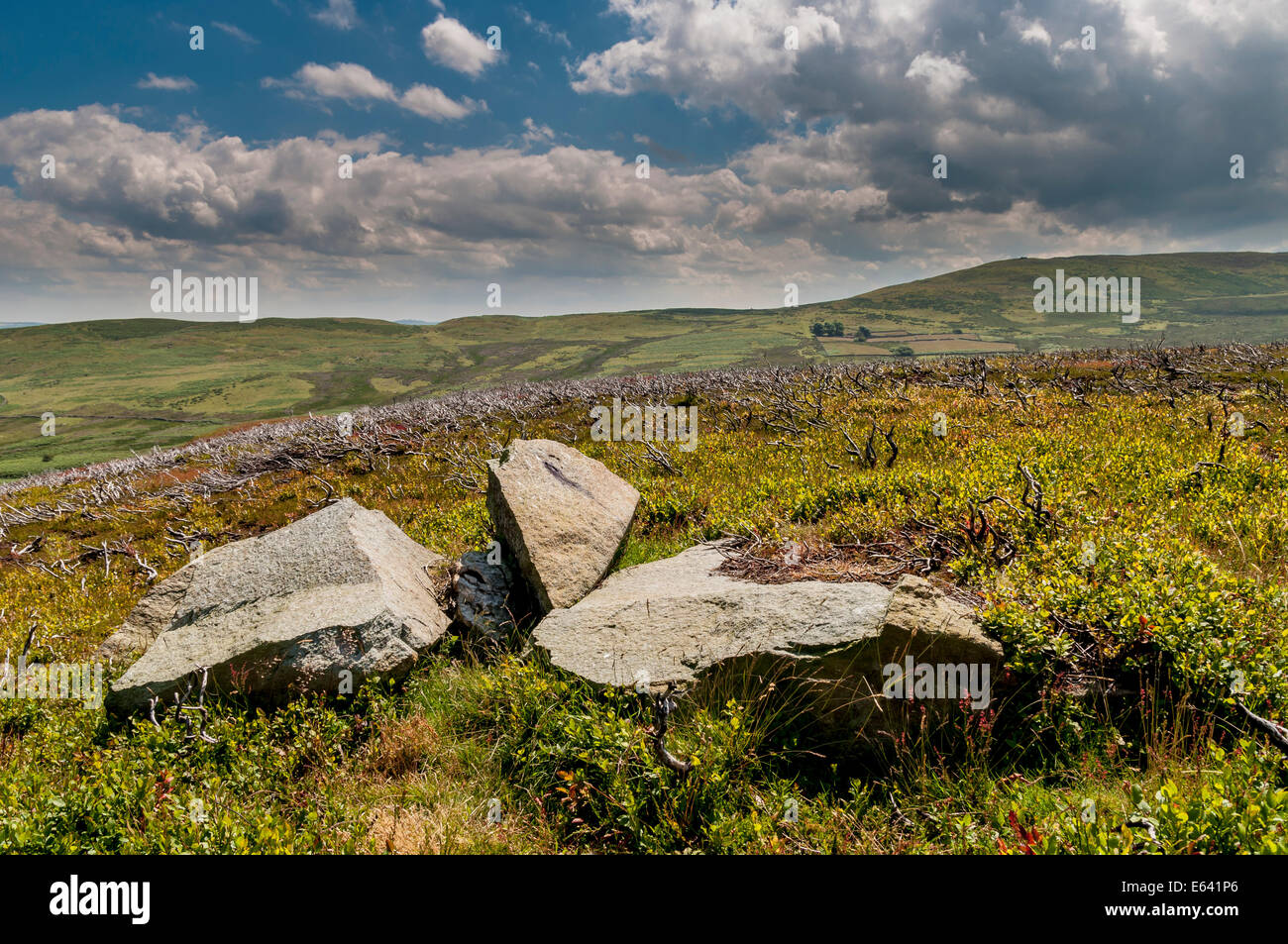 Jubilee Path looking towards Tal y Fan mountains Carneddau moorland ...