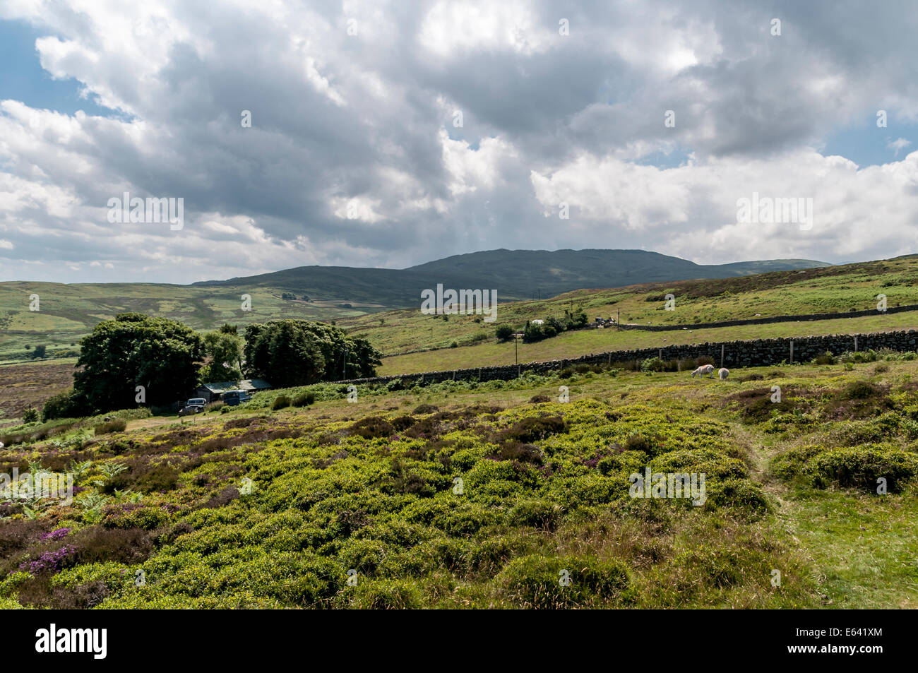 Carneddau mountains hi-res stock photography and images - Alamy