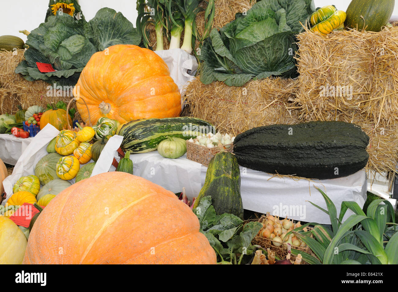 A display of colourful vegetables at a horticultural show Glamorgan ...