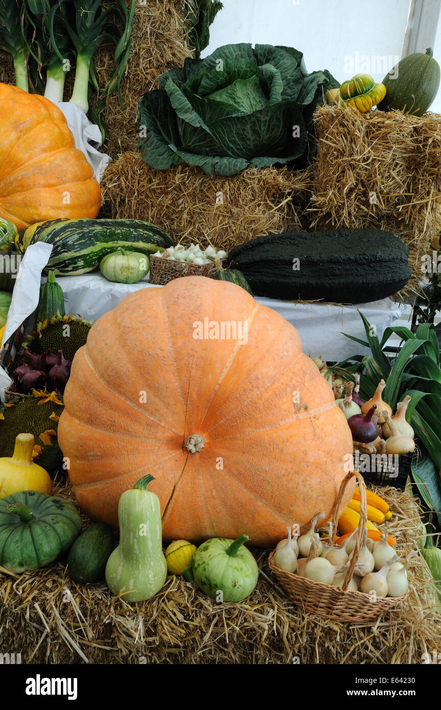 Giant vegetables hi-res stock photography and images - Alamy
