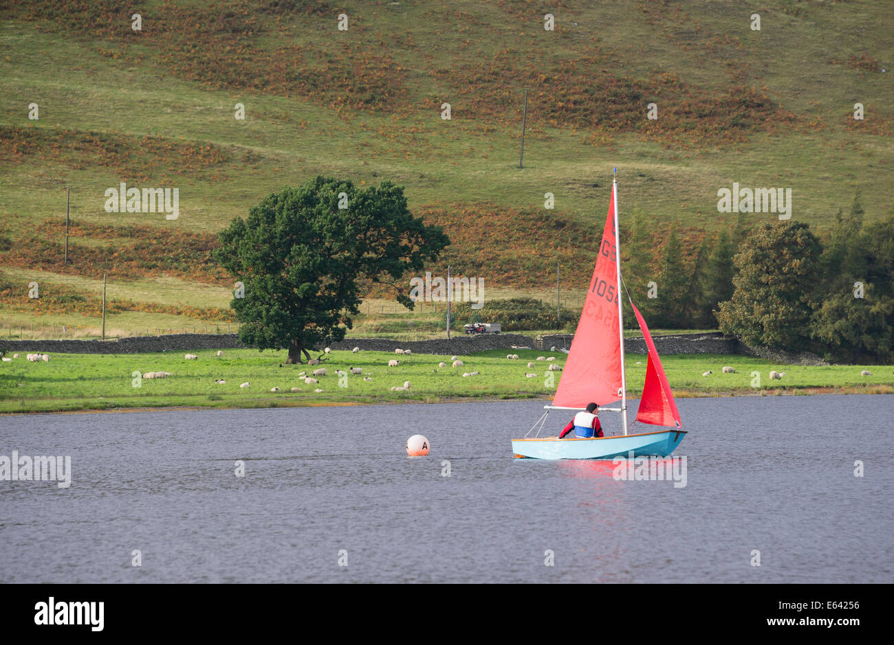 Red sails hi-res stock photography and images - Alamy