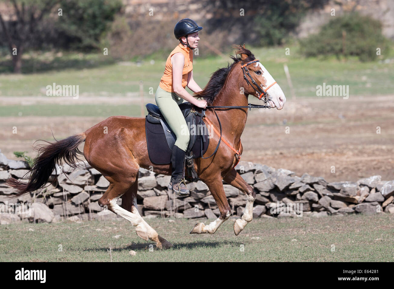 Horse Riding Galloping at Oliver Howell-price blog
