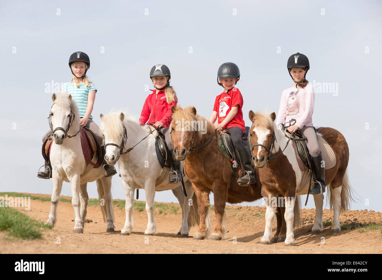 Shetland Pony. Four girls on ponies standing on sand. Germany Stock ...