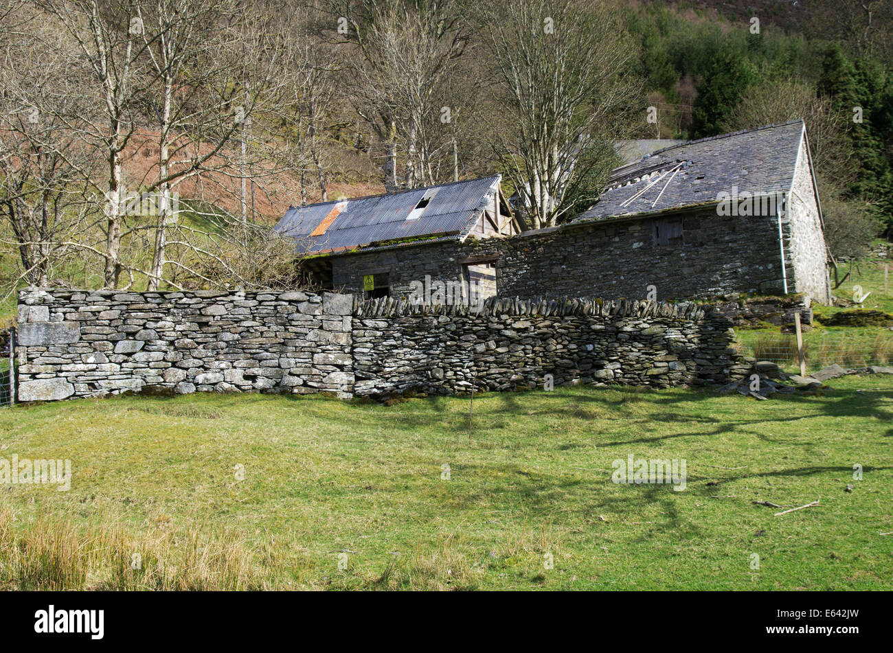 Tree growing through roof hi-res stock photography and images - Alamy