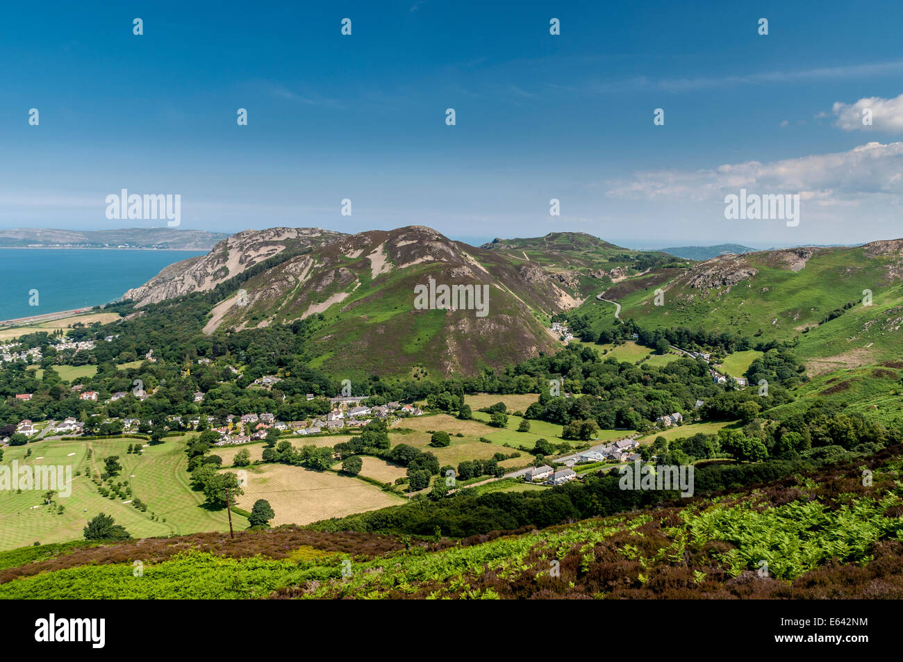 Foel lus hi-res stock photography and images - Alamy