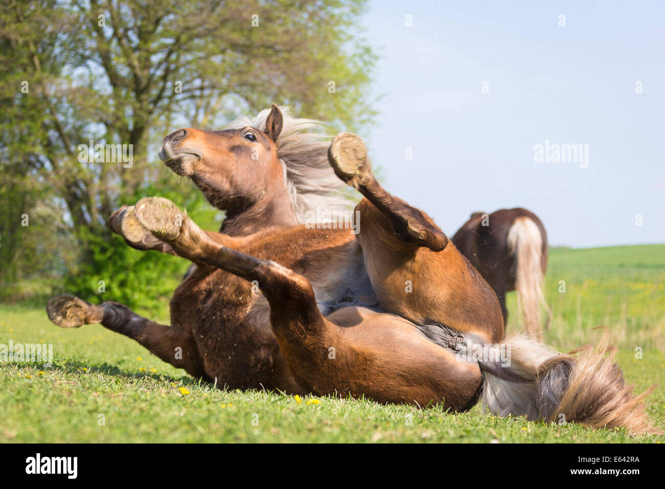 Classic humor hi-res stock photography and images - Alamy