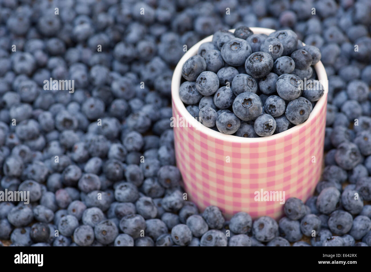 Pink checkered pot of harvested blueberries Stock Photo - Alamy