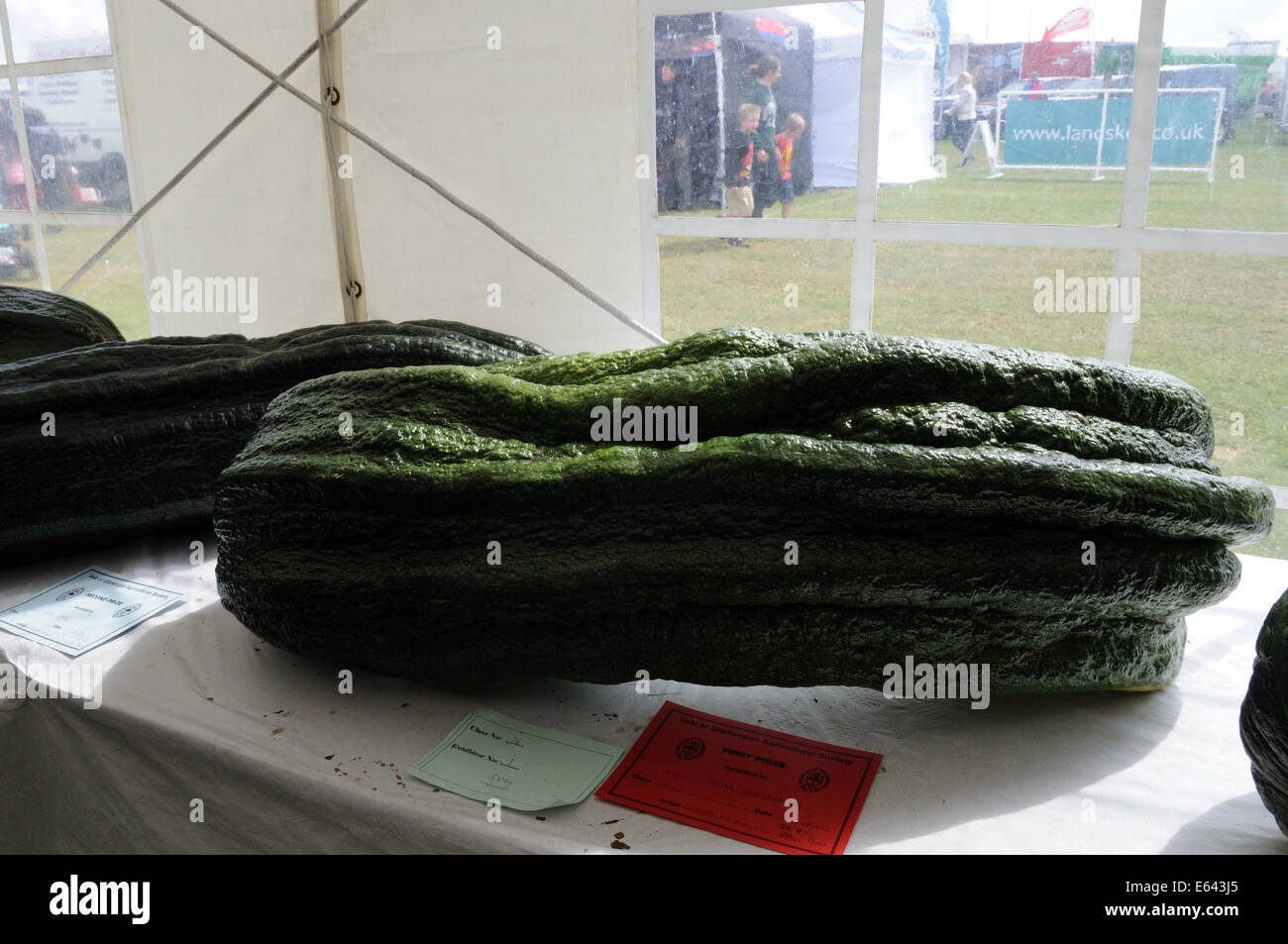 Prize winning vegetable hi-res stock photography and images - Alamy