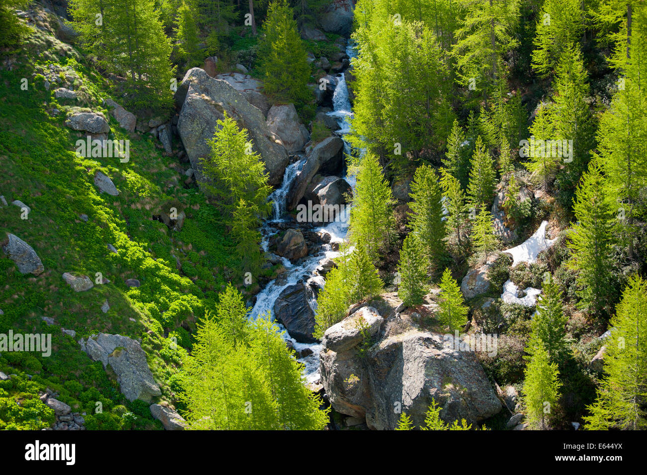 Swiss river forest hi-res stock photography and images - Alamy