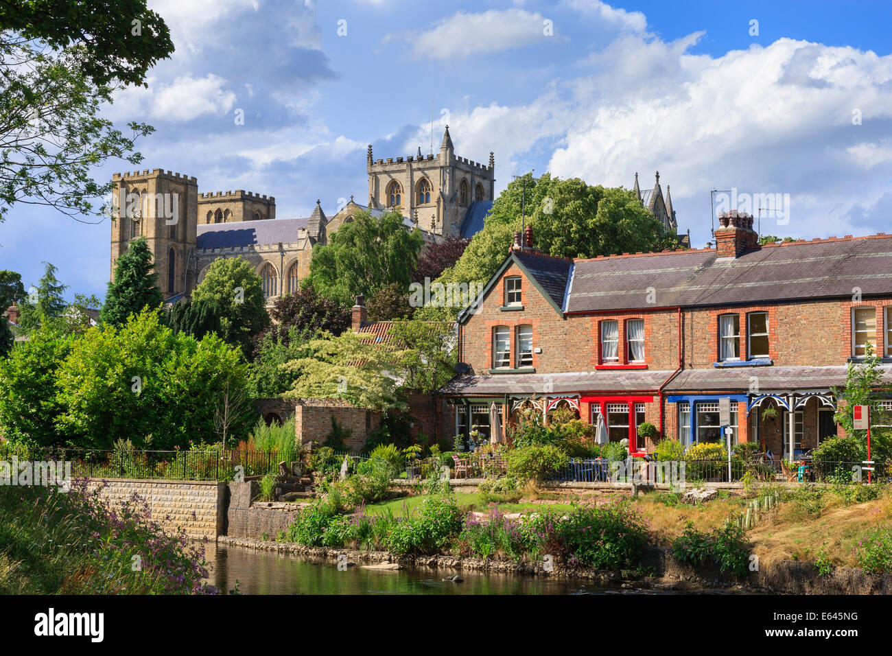 Ripon Cathedral Ripon Harrogate North Yorkshire England Stock Photo - Alamy