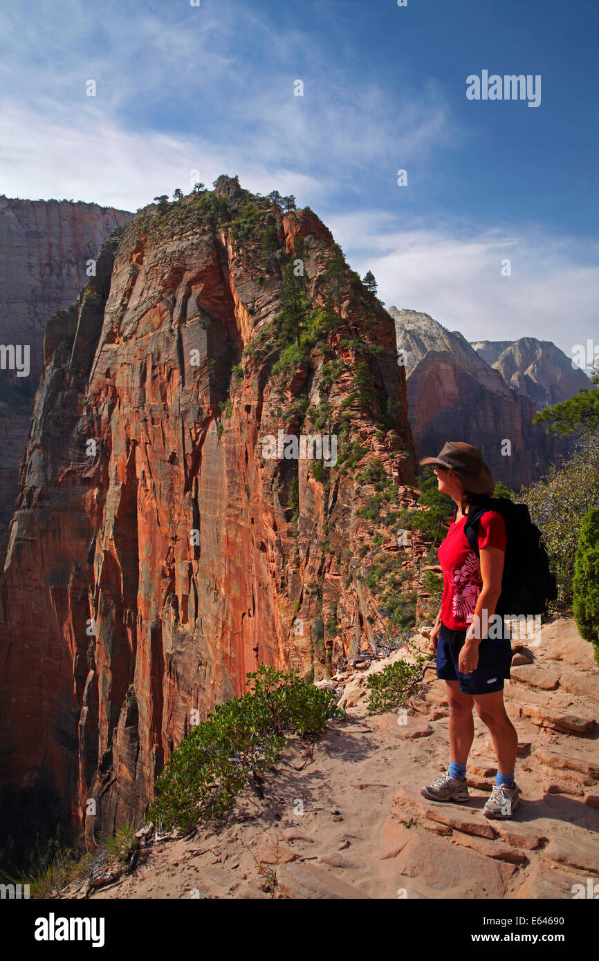 Hiker on narrow steep track leading to Angel's Landing, with drops to ...
