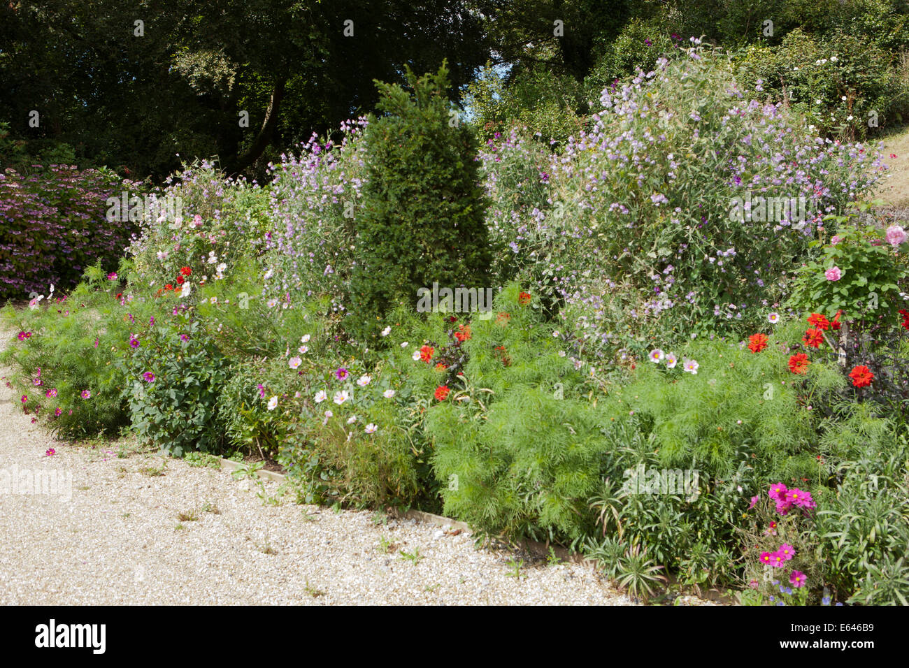 The House and fine gardens in the grounds of Trematon Castle, nr ...