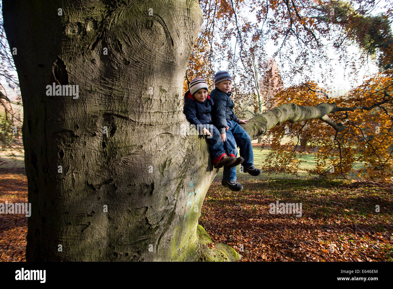 in autumn park Stock Photo - Alamy