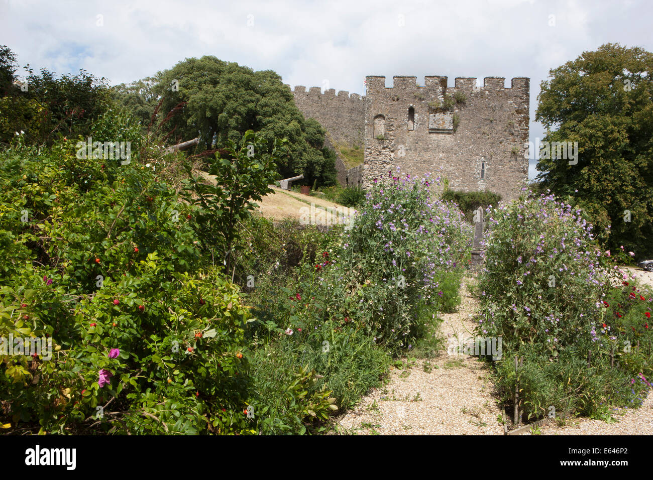 The House and fine gardens in the grounds of Trematon Castle, nr ...