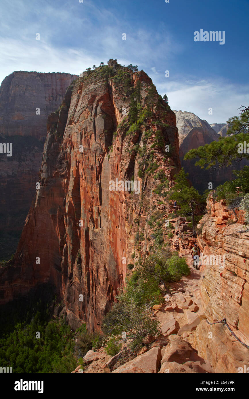 Angels Landing Narrow