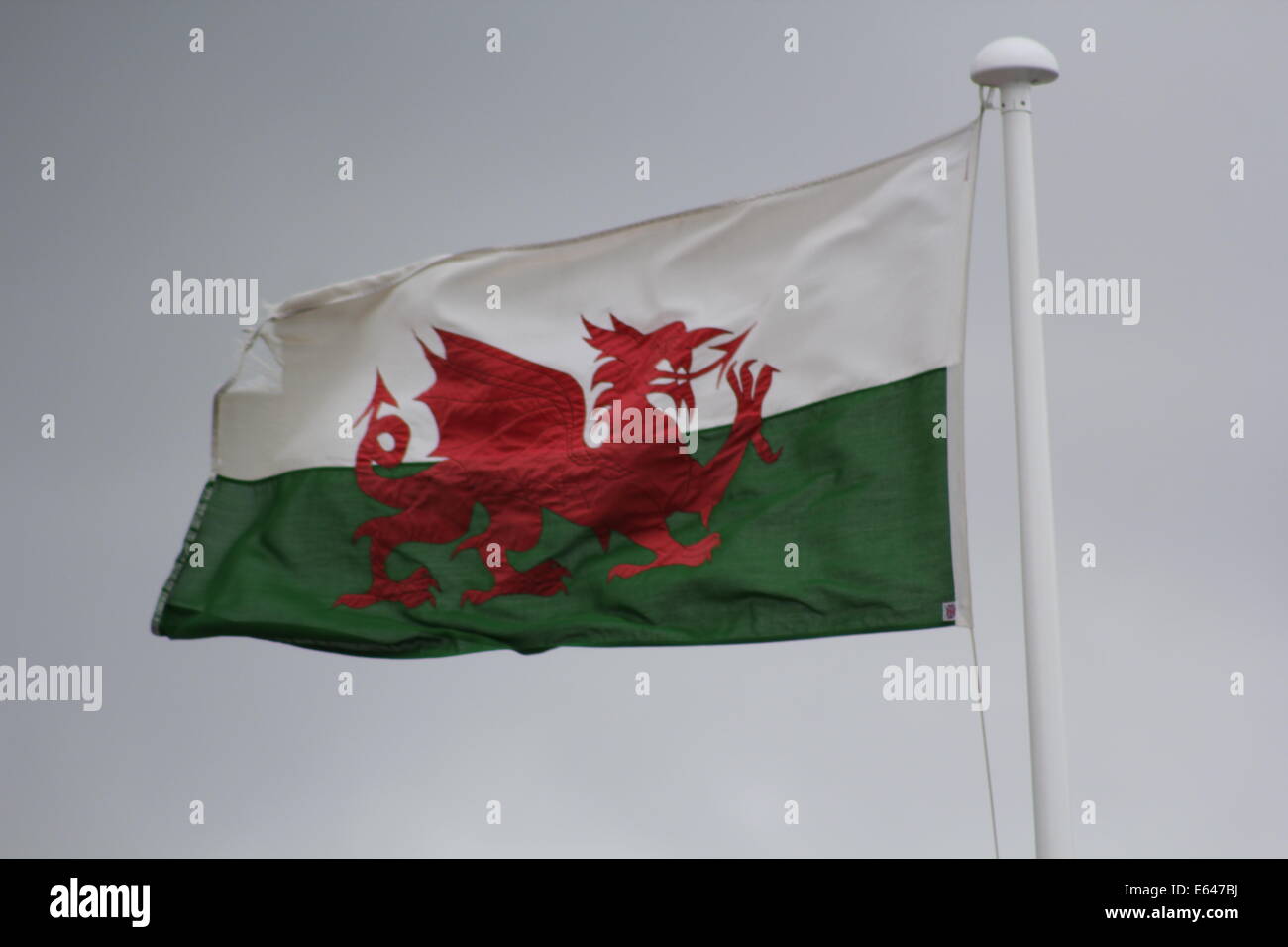 Welsh flag uk flag hi-res stock photography and images - Alamy