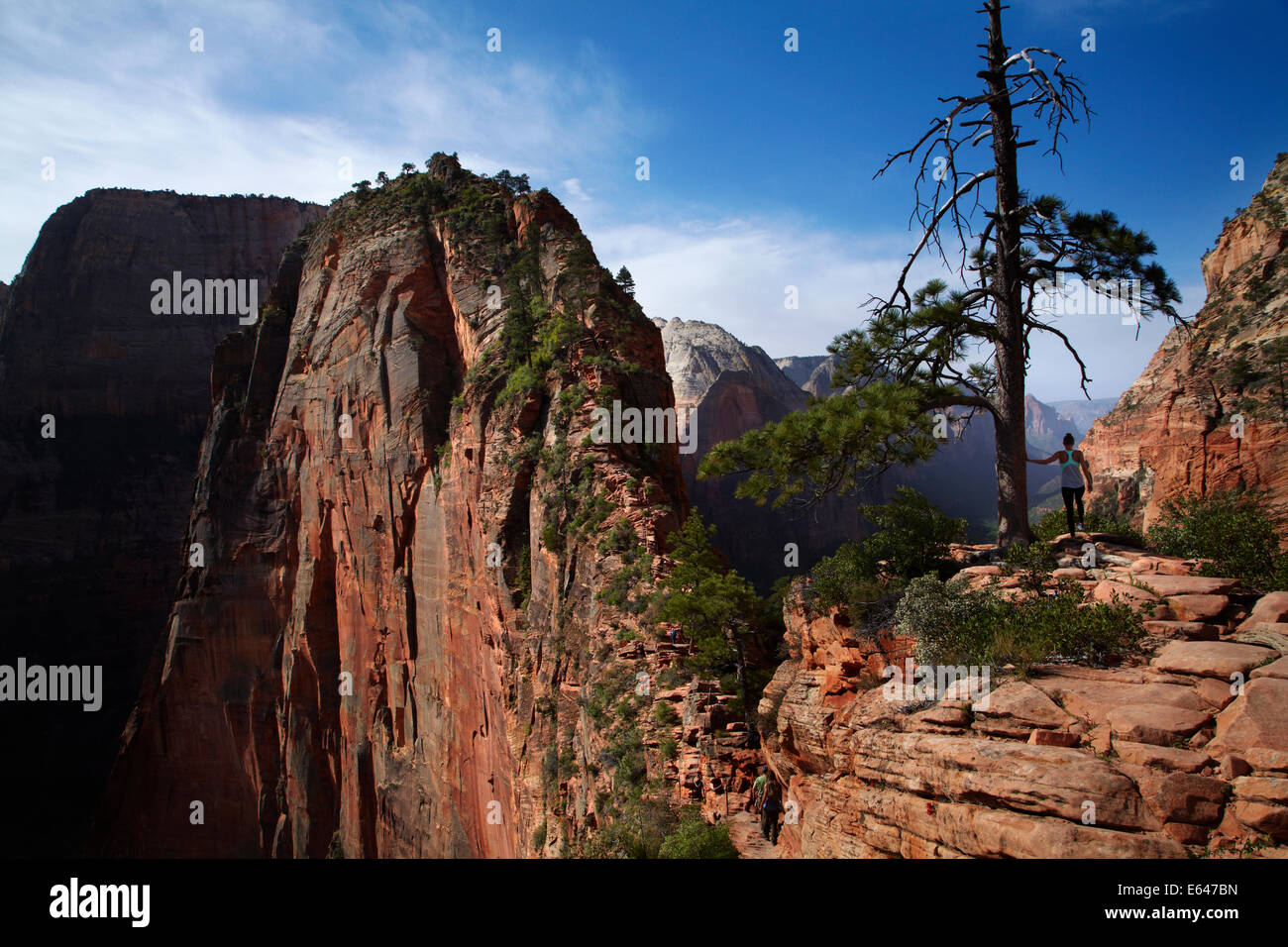 Hikers on narrow steep track leading to Angel's Landing, and Zion ...