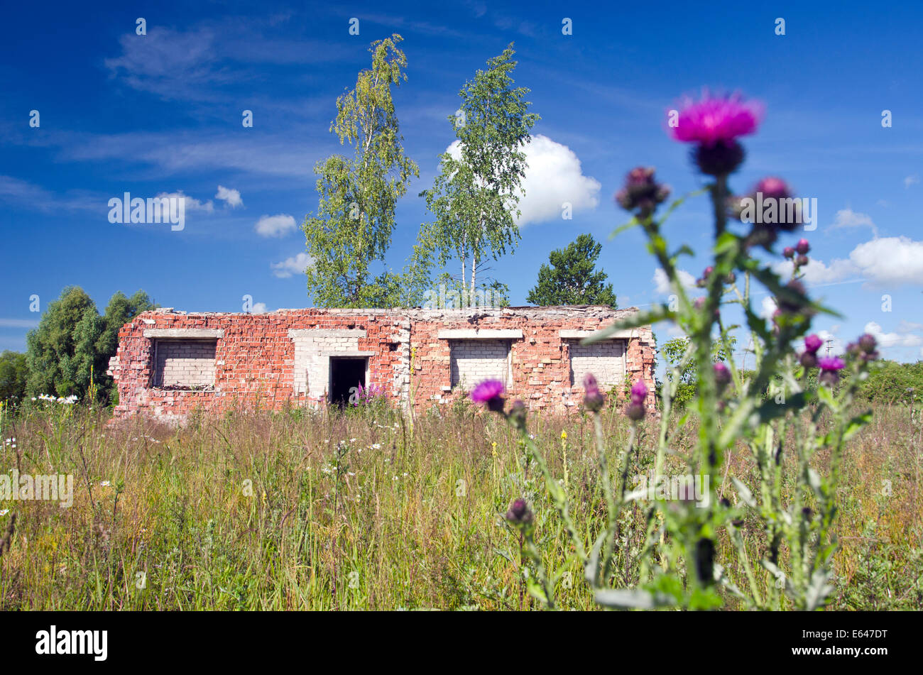 Rural soviet farm abandoned hi-res stock photography and images - Alamy