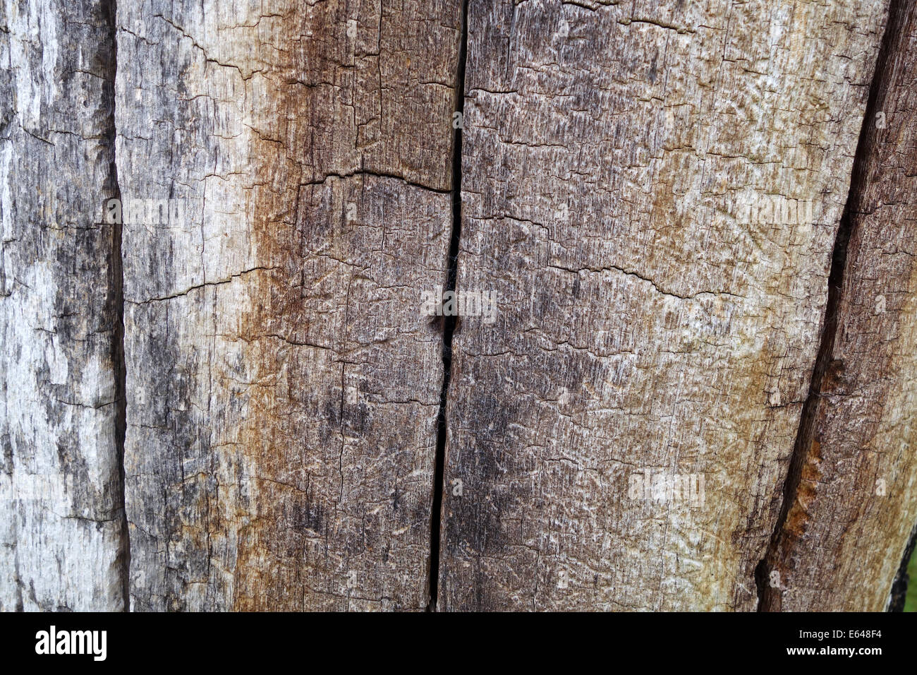 Cracked wood hi-res stock photography and images - Alamy