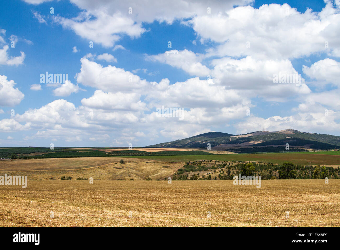 Israel, Lower Galilee Ramat Hatzviam (Antelope Plain) Landscape Part of ...
