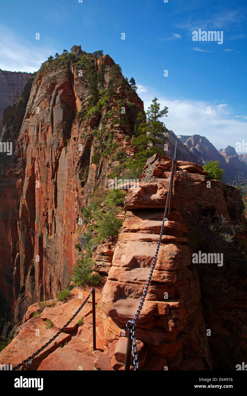 Narrow "Leap of Faith" part of Angels Landing track, with 1000ft/305m ...