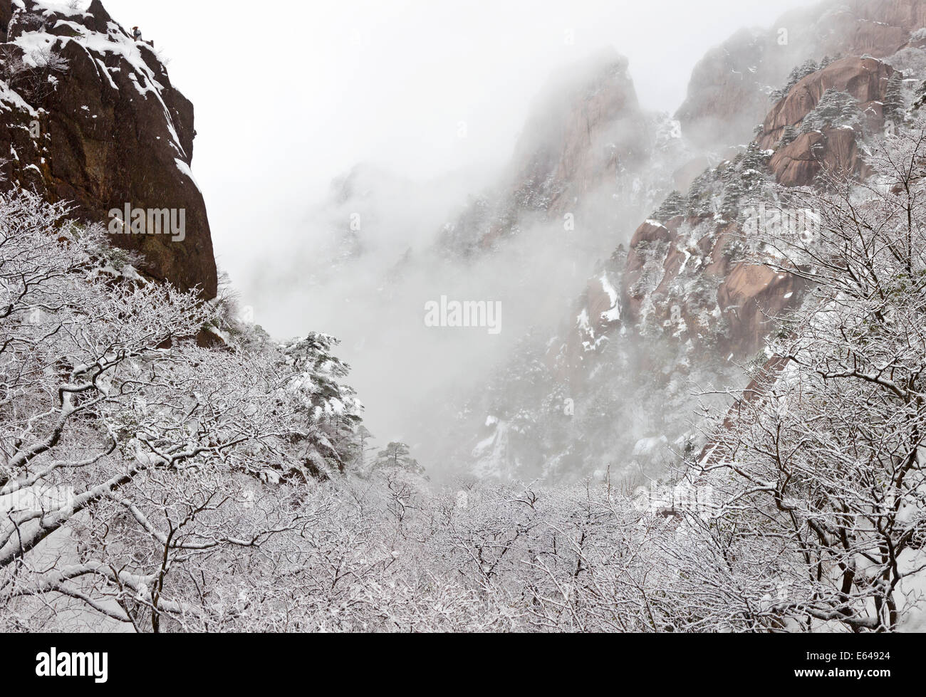 Snow, Huangshan or Yellow Mountains, Anhui Province, China Stock Photo - Alamy