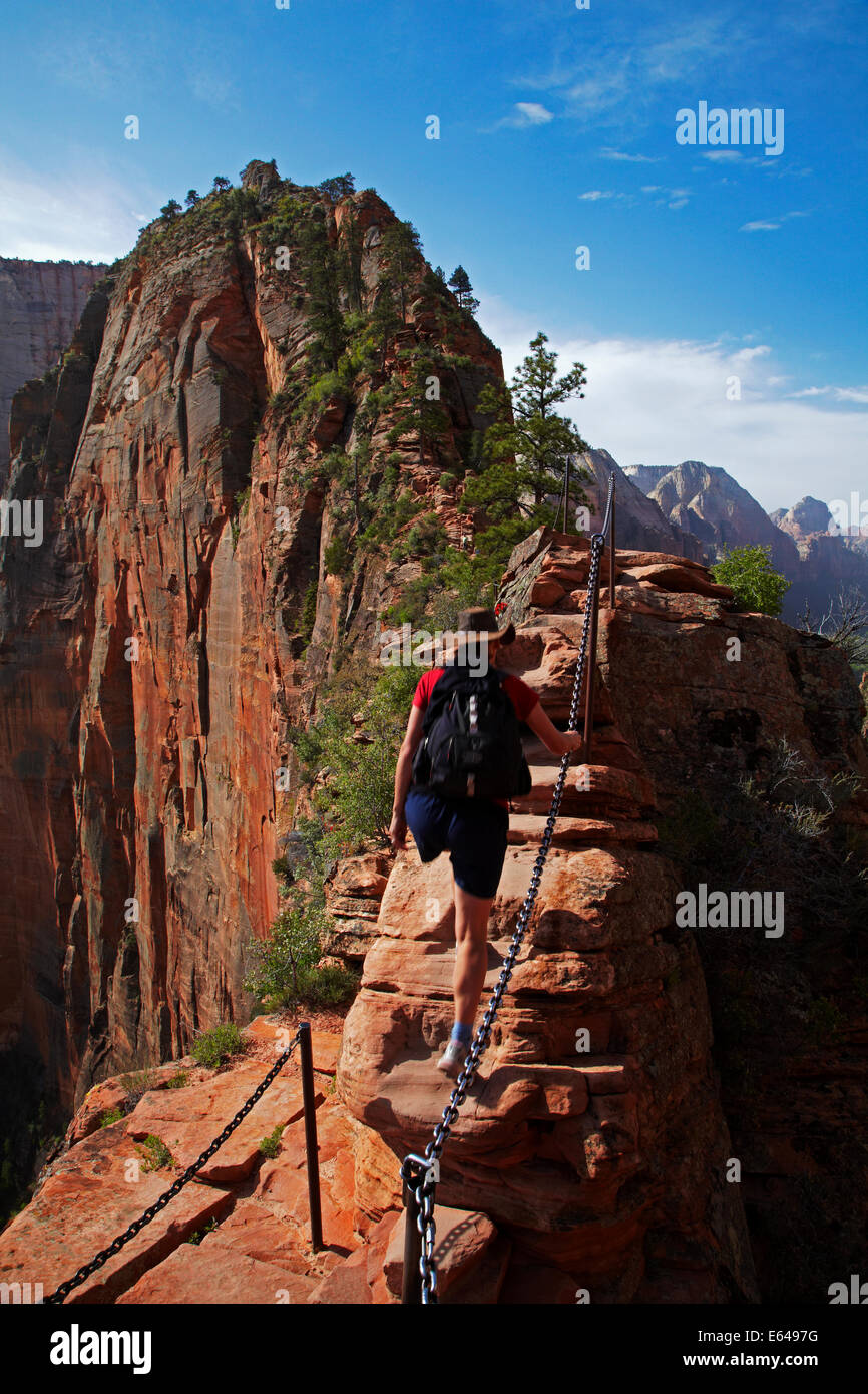Hiker on narrow "Leap of Faith" part of Angels Landing track, with ...