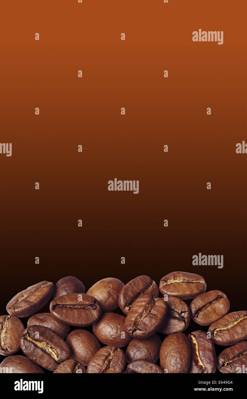 Coffee beans on against the backdrop of a brown gradient Stock Photo ...