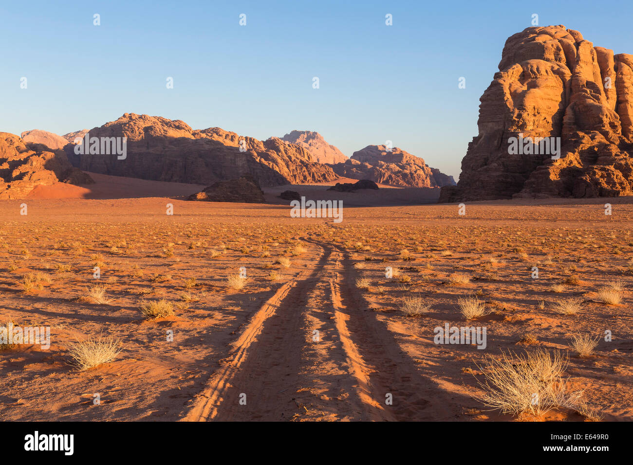 Tracks in desert hi-res stock photography and images - Alamy