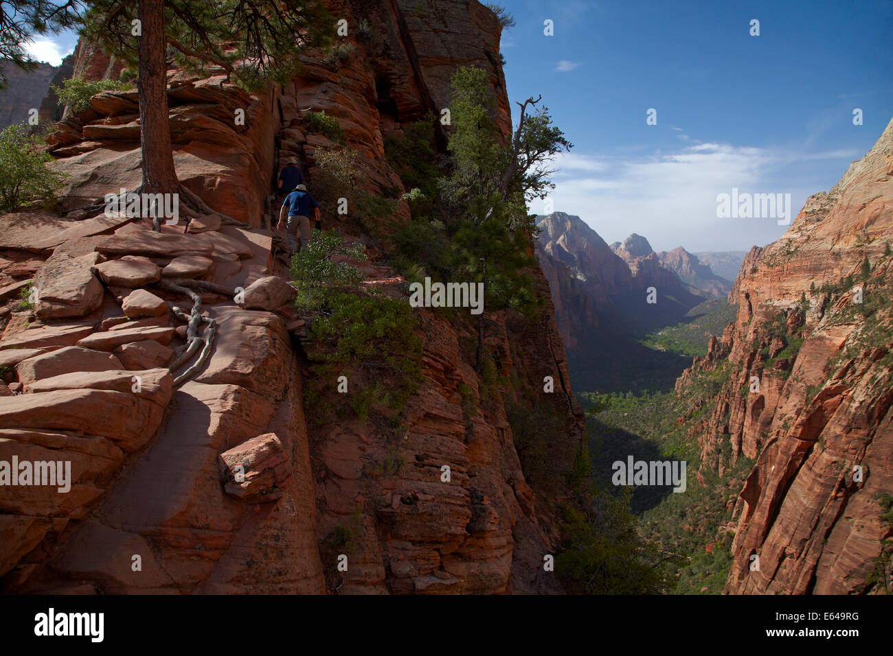 Hikers on narrow steep Angels Landing track, and drop to Zion Canyon ...