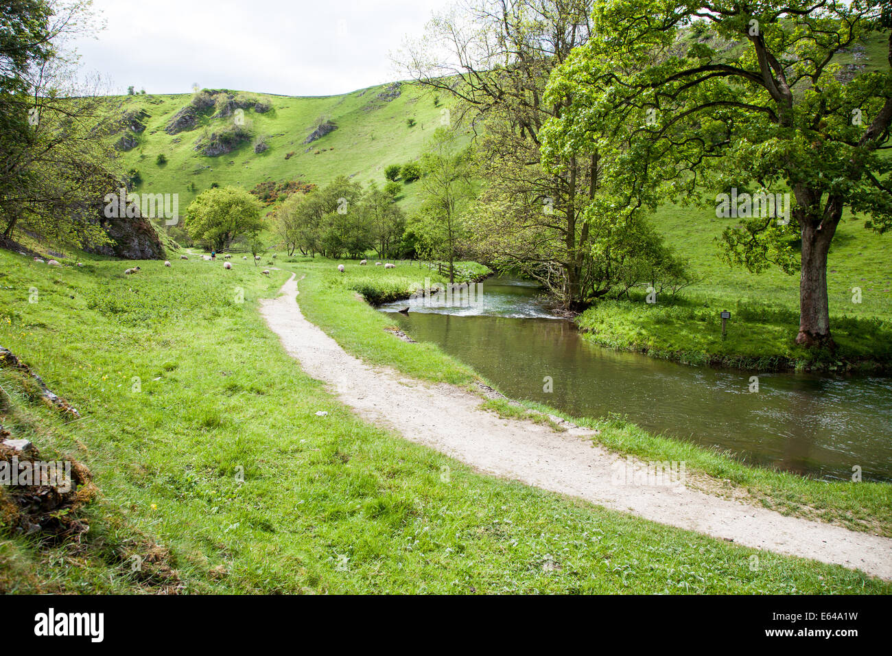 River Dove in Wolfscote Dale on the Staffordshire, Derbyshire border ...